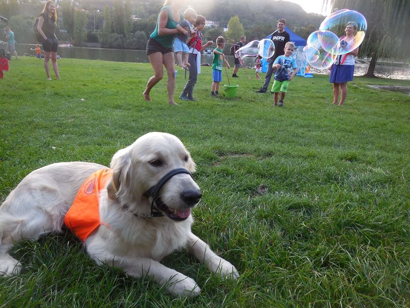 Voody končí předvýchovu