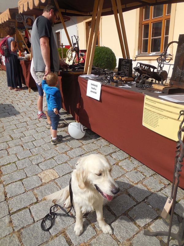 Voody končí předvýchovu